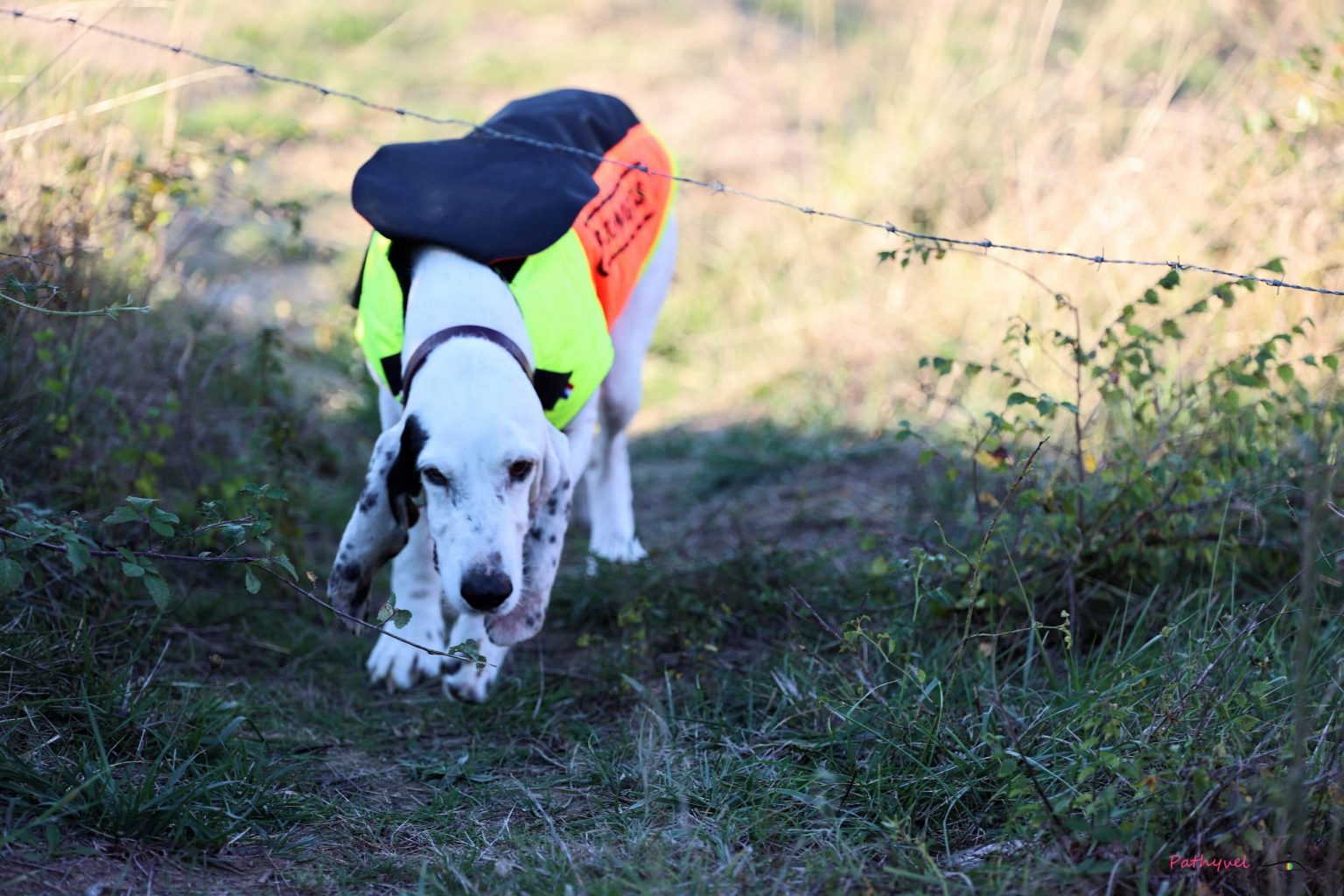 GILET BARBELÉS - F.P Concepts